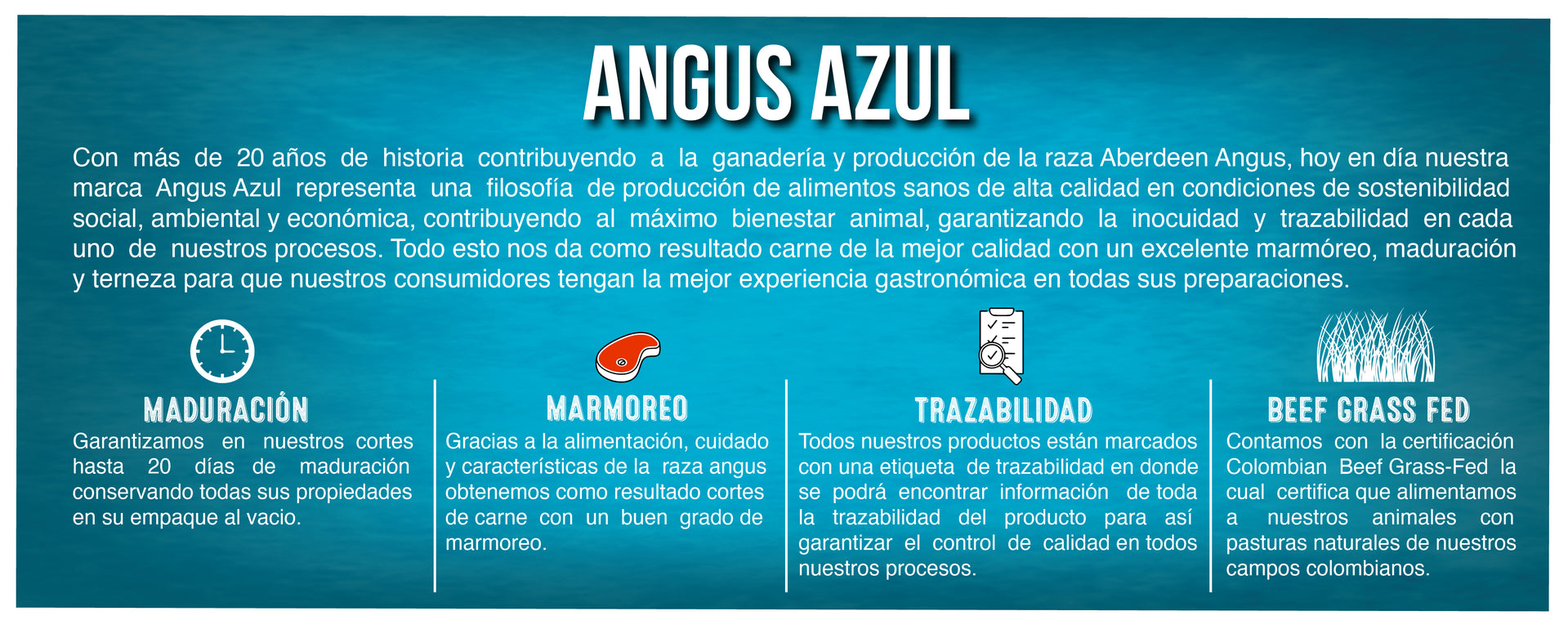 Angus Azul